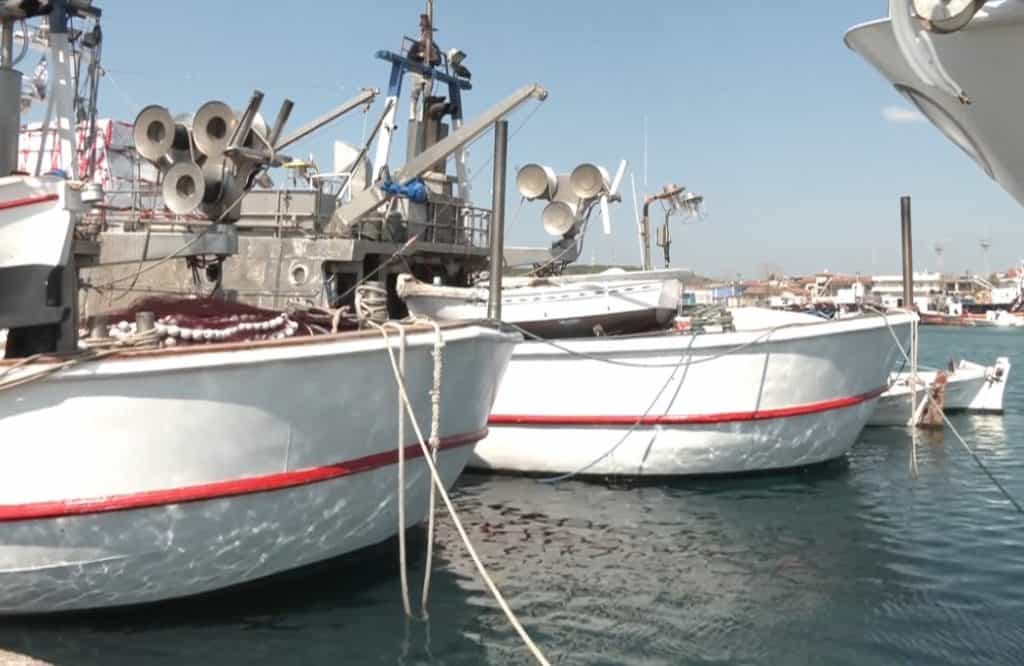 Κινητοποίηση των αλιέων γρι γρι- Αιτήματα προς το ΥΠΑΑΤ - Λιμενικά Νέα ...